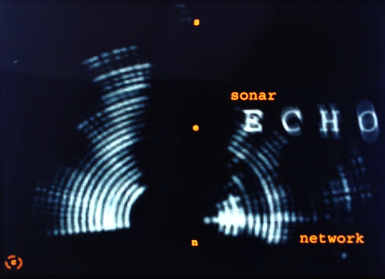 Sonar: Echo Network | agent mT industries